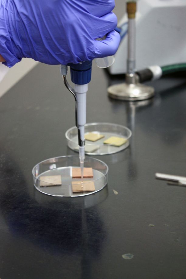 Copper Kills Harmful Bacteria, UA Researchers Find – Shamskm: A site to ...